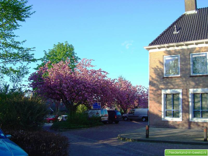 Luchtfoto's Borger / foto's Borger | Nederland-in-beeld.nl