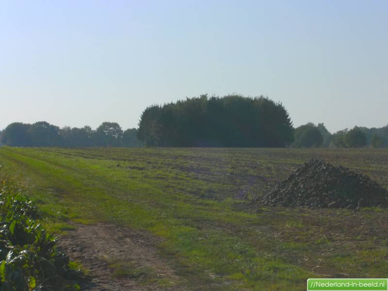 Luchtfoto's Valthe / foto's Valthe | Nederland-in-beeld.nl