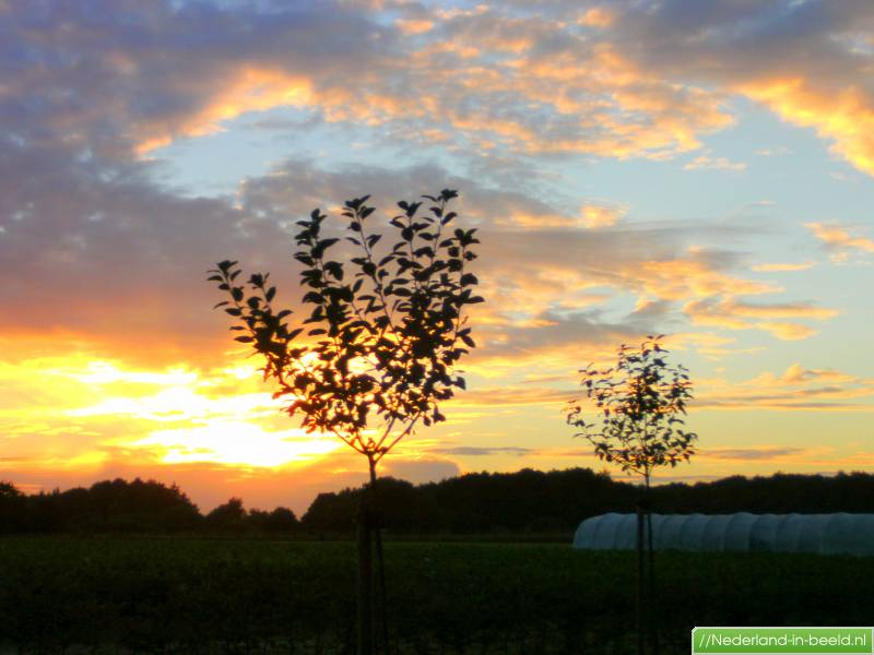 Luchtfoto's Valthe / foto's Valthe | Nederland-in-beeld.nl