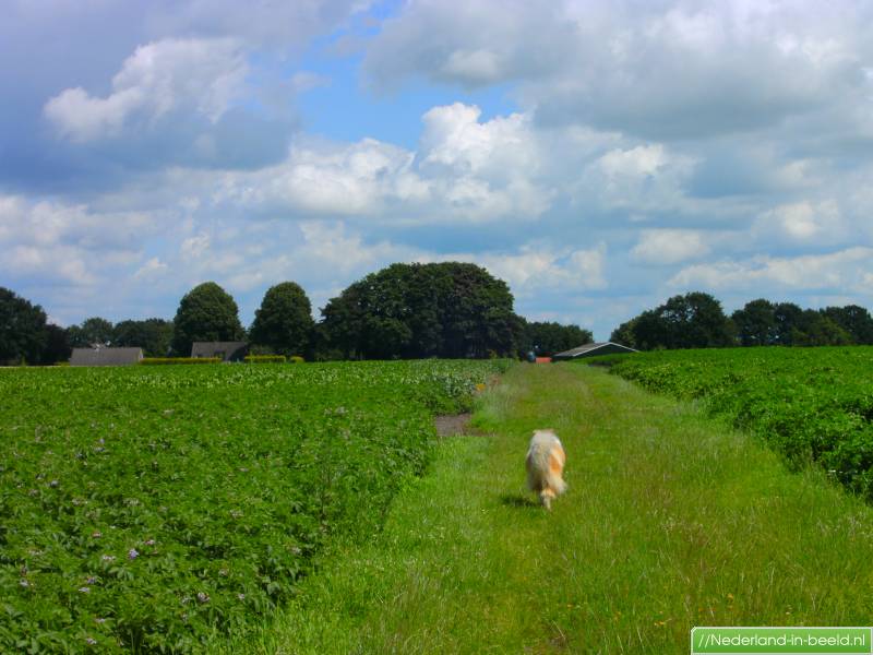 Luchtfoto's Valthe / foto's Valthe | Nederland-in-beeld.nl