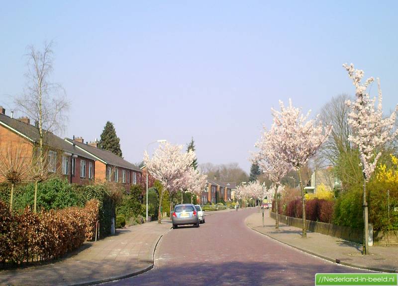 Luchtfoto's Putten / foto's Putten | Nederland-in-beeld.nl