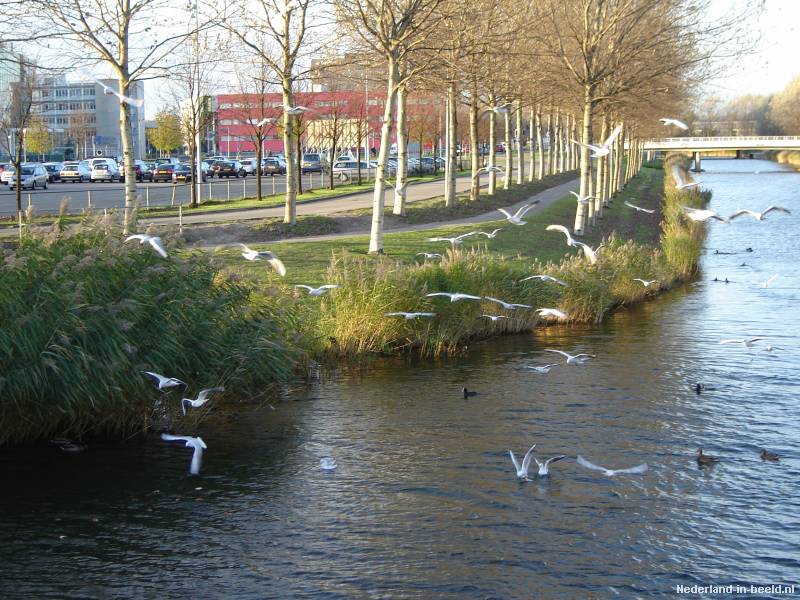 Luchtfoto's Almere / foto's Almere | Nederland-in-beeld.nl