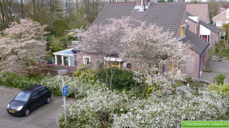 Luchtfoto's Dronten / foto's Dronten | Nederland-in-beeld.nl