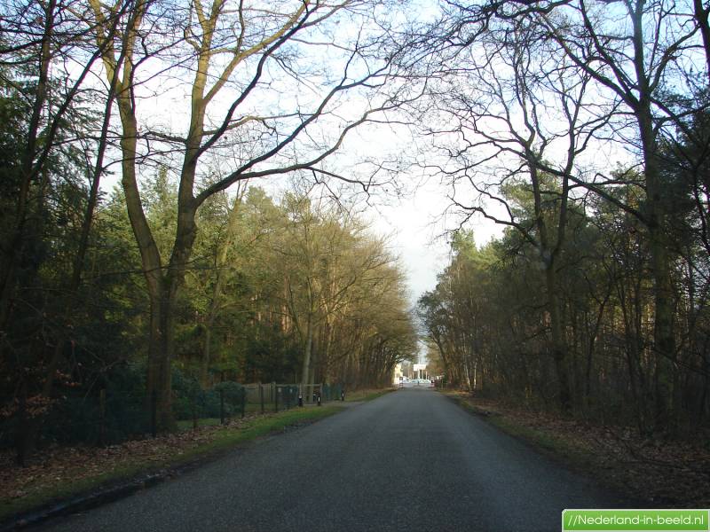 Eerbeek > Algemeen luchtfoto's / foto's | Nederland-in-beeld.nl