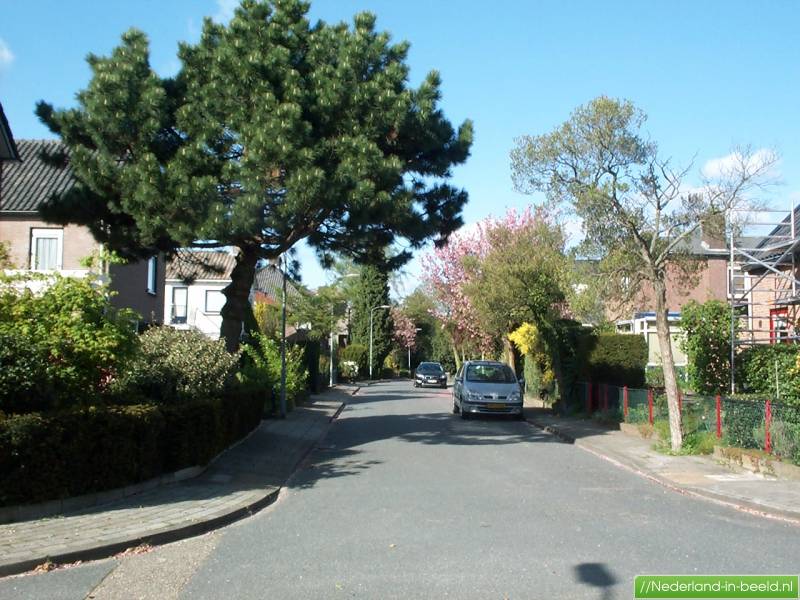 Oosterbeek > Dreijenseweg luchtfoto's / foto's | Nederland-in-beeld.nl