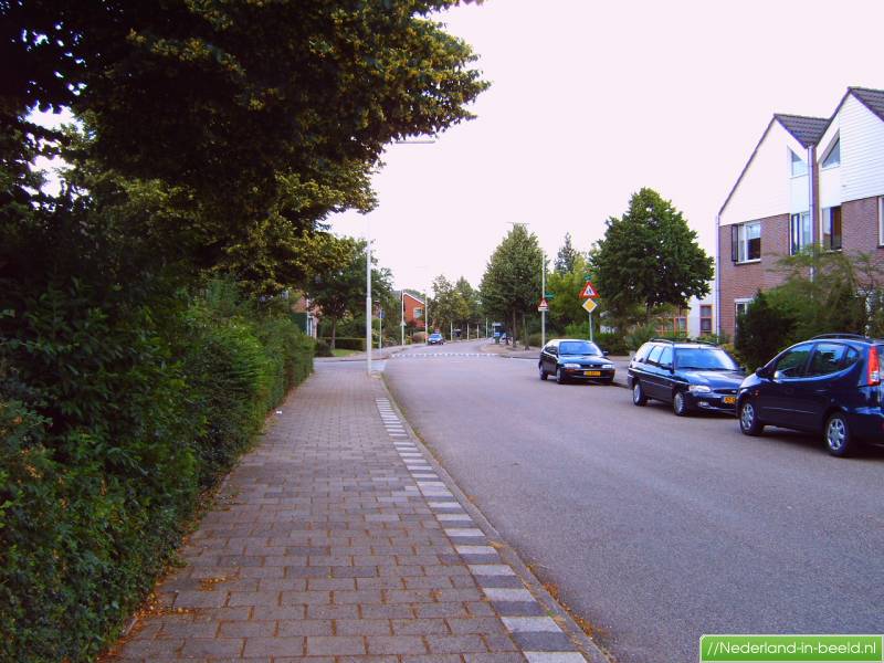 Rheden > Rozenbos luchtfoto's / foto's | Nederland-in-beeld.nl