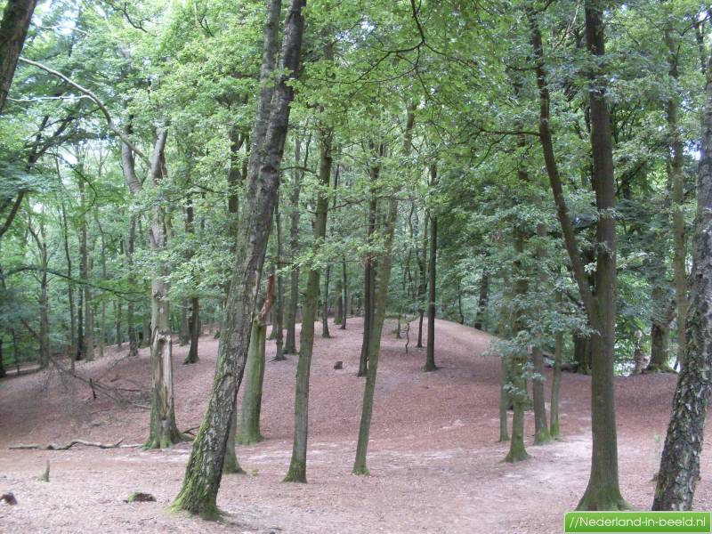 Terborg > Silvoldseweg luchtfoto's / foto's | Nederland-in-beeld.nl