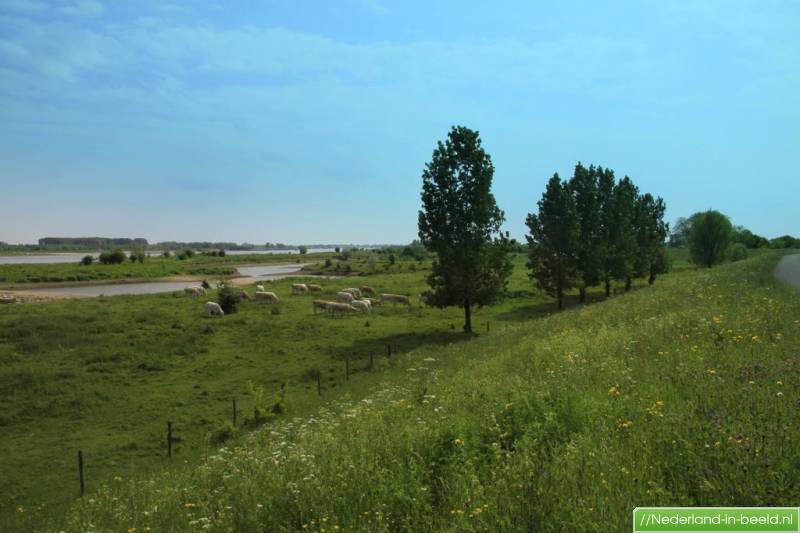 Luchtfoto's Tiel / foto's Tiel | Nederland-in-beeld.nl