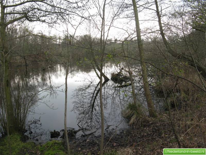 Uddel > Oudedijk luchtfoto's / foto's | Nederland-in-beeld.nl