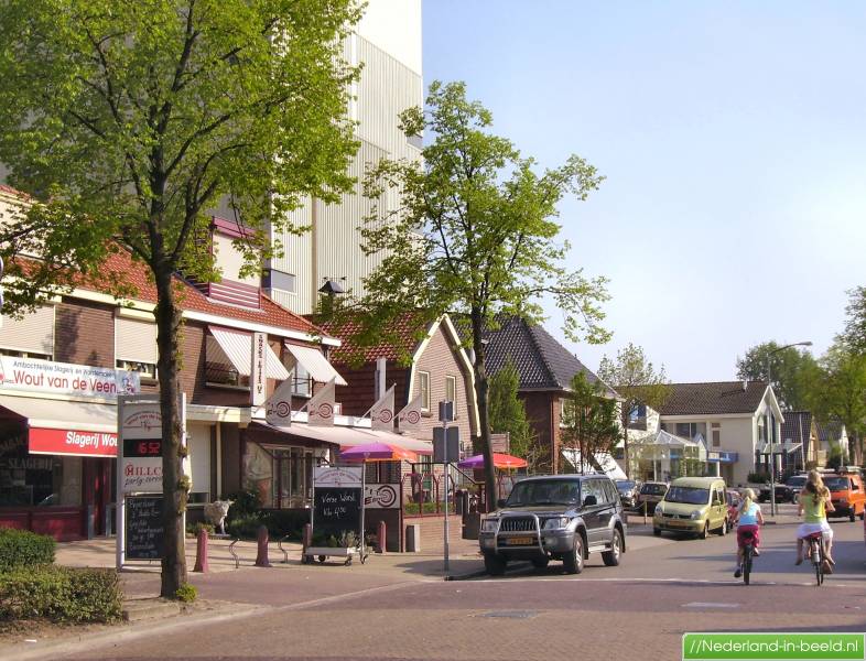 Luchtfoto's Ederveen / foto's Ederveen | Nederland-in-beeld.nl