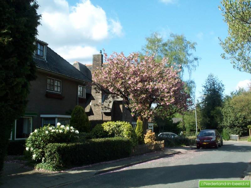 Luchtfoto's Oosterbeek / foto's Oosterbeek | Nederland-in-beeld.nl