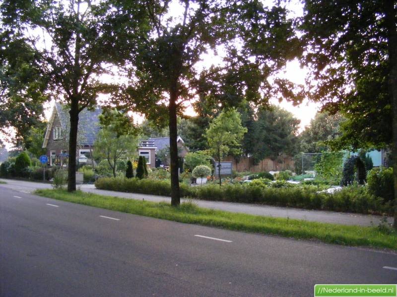 Luchtfoto's Uddel / foto's Uddel | Nederland-in-beeld.nl