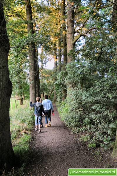 Luchtfoto's Wehl / foto's Wehl | Nederland-in-beeld.nl