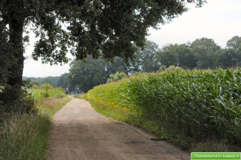 Luchtfoto's Wehl / foto's Wehl | Nederland-in-beeld.nl