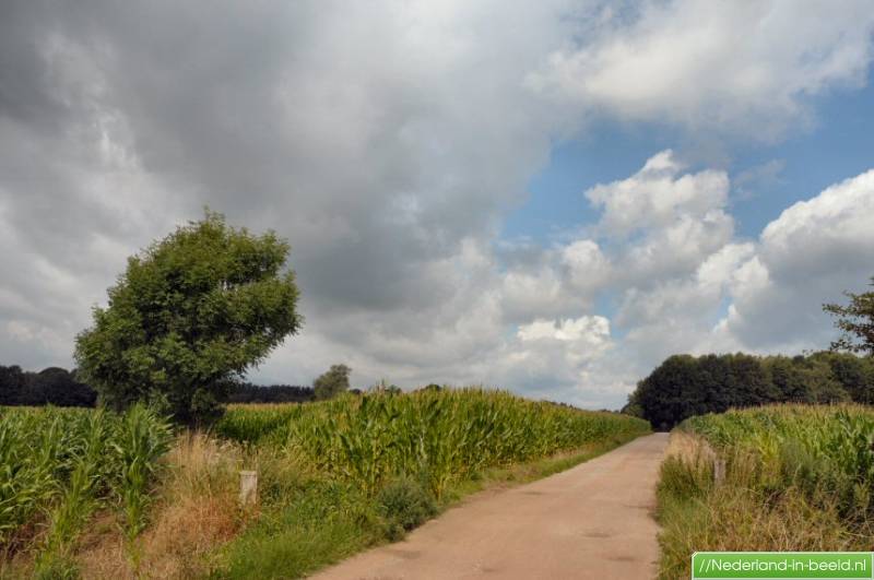 Luchtfoto's Wehl / foto's Wehl | Nederland-in-beeld.nl