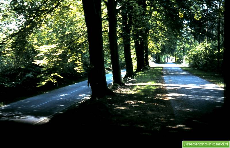 Luchtfoto's Westendorp / foto's Westendorp | Nederland-in-beeld.nl