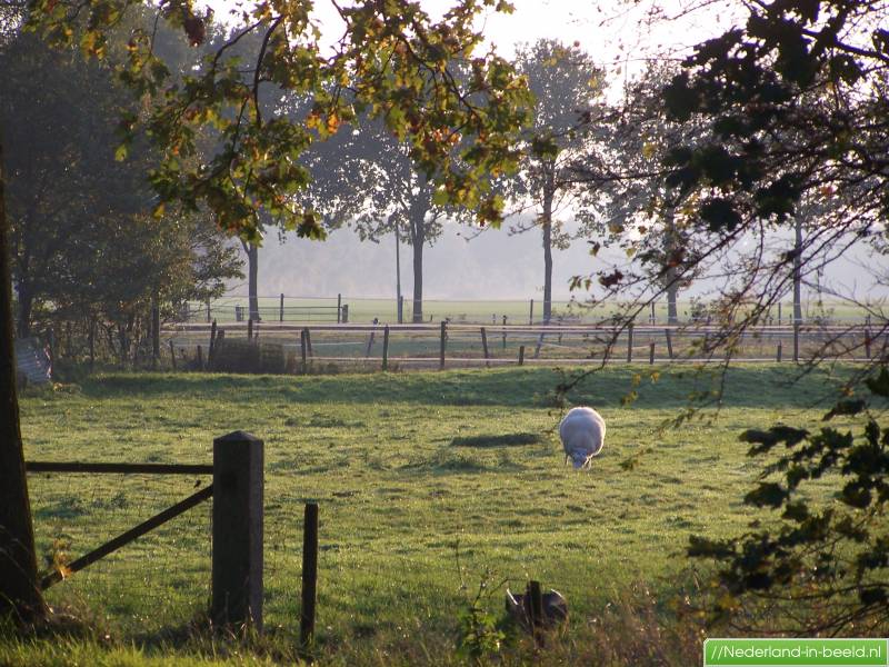 Vlagtwedde > Kerkstraat luchtfoto's / foto's | Nederland-in-beeld.nl