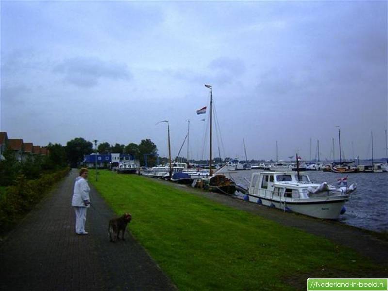 Luchtfoto's Steendam / foto's Steendam | Nederland-in-beeld.nl