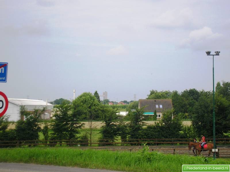 Luchtfoto's Rhoon / foto's Rhoon | Nederland-in-beeld.nl