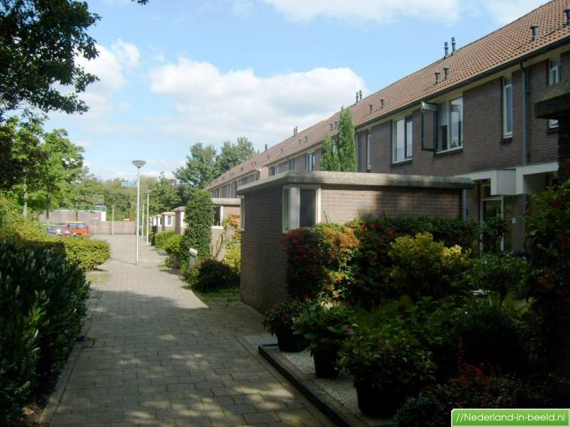Luchtfoto's Rhoon / foto's Rhoon | Nederland-in-beeld.nl