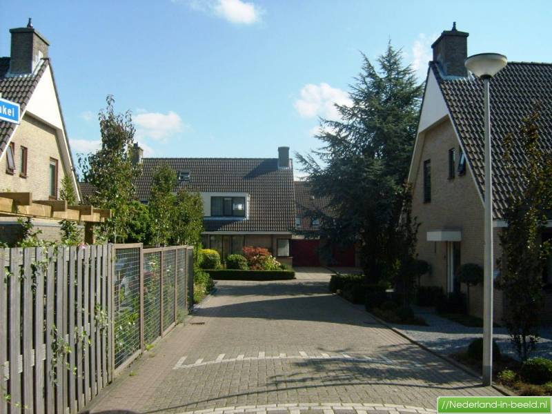 Luchtfoto's Rhoon / foto's Rhoon | Nederland-in-beeld.nl