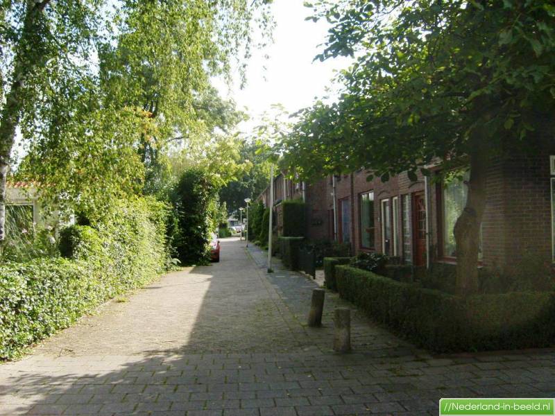 Luchtfoto's Rhoon / foto's Rhoon | Nederland-in-beeld.nl