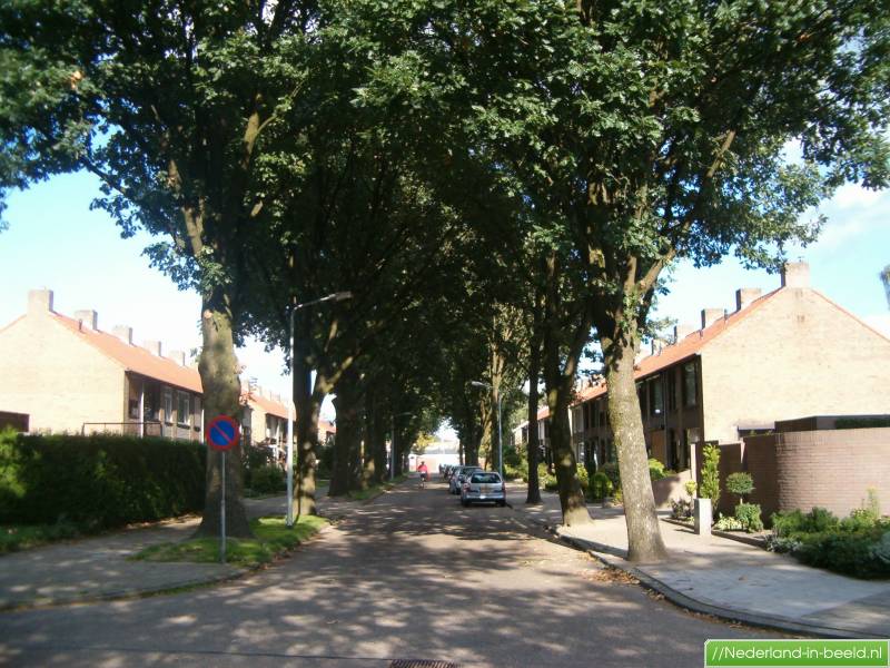 Luchtfoto's Weert / foto's Weert | Nederland-in-beeld.nl