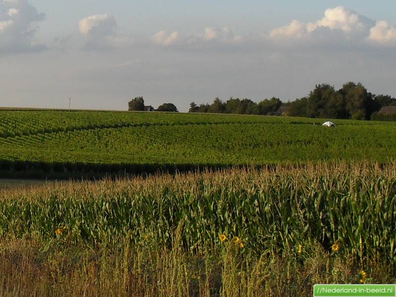 Luchtfoto's Groesbeek / foto's Groesbeek | Nederland-in-beeld.nl