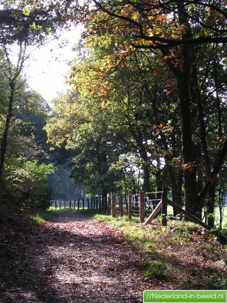 Luchtfoto's Mook / foto's Mook | Nederland-in-beeld.nl