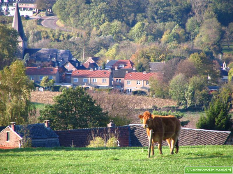 Luchtfoto's Noorbeek / foto's Noorbeek | Nederland-in-beeld.nl