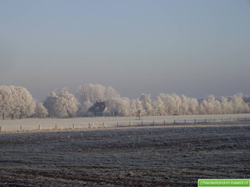 Luchtfoto's Rhenen / foto's Rhenen | Nederland-in-beeld.nl