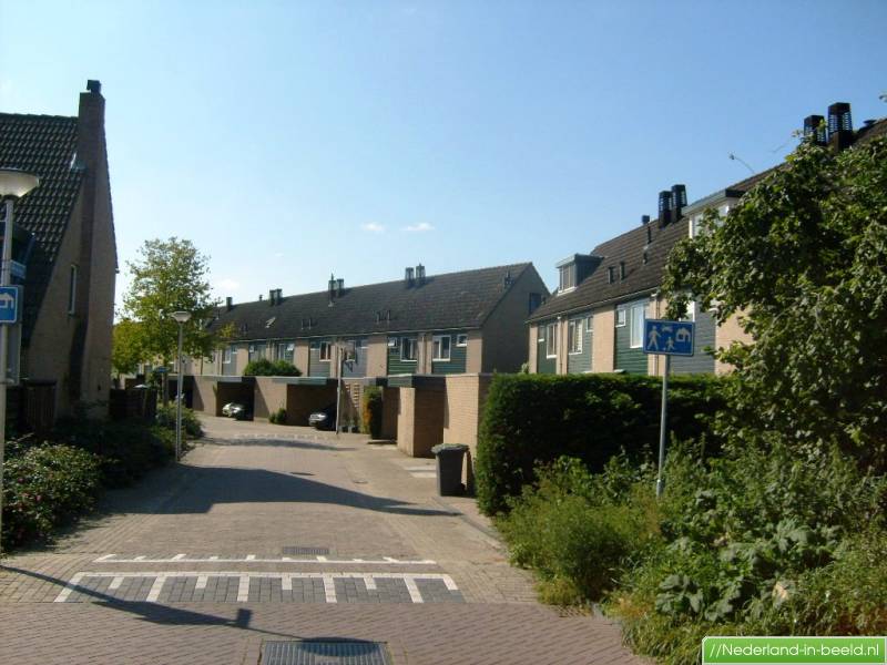 Luchtfoto's Rhoon / foto's Rhoon | Nederland-in-beeld.nl