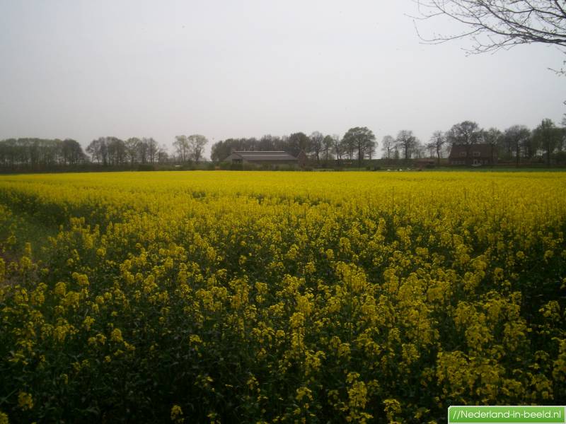Luchtfoto's Drunen / foto's Drunen | Nederland-in-beeld.nl