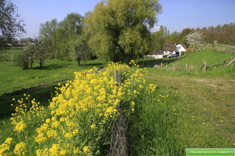 Sleeuwijk > Kooikamp luchtfoto's / foto's | Nederland-in-beeld.nl