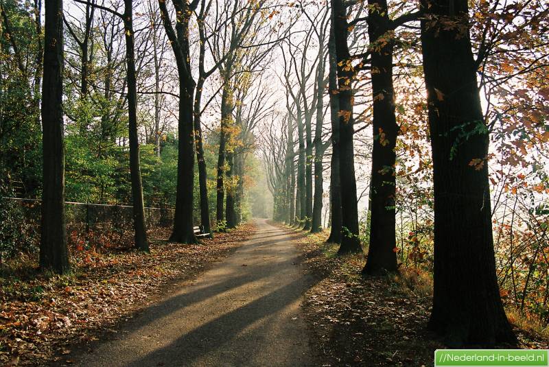 Luchtfoto's Terborg / foto's Terborg | Nederland-in-beeld.nl