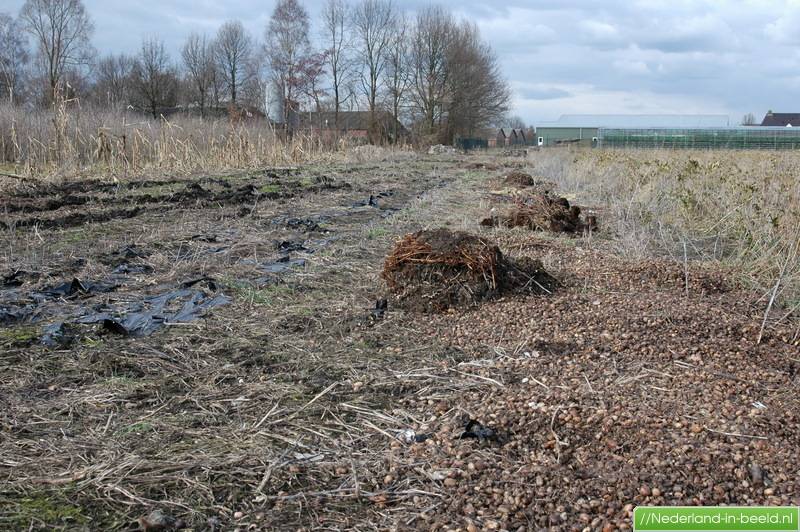 Luchtfoto's Boekel / foto's Boekel | Nederland-in-beeld.nl