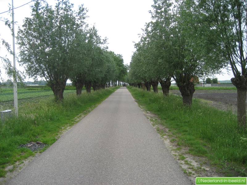 Luchtfoto's Haarsteeg / foto's Haarsteeg | Nederland-in-beeld.nl