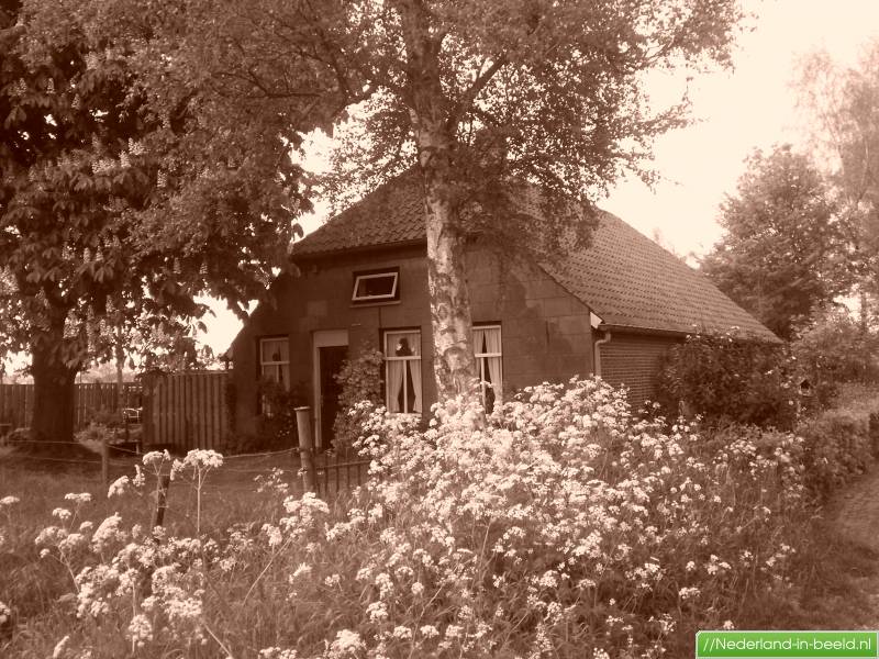 Luchtfoto's Haarsteeg / foto's Haarsteeg | Nederland-in-beeld.nl
