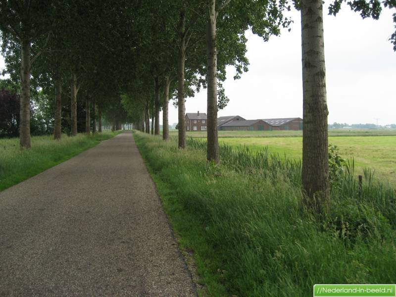 Luchtfoto's Haarsteeg / foto's Haarsteeg | Nederland-in-beeld.nl