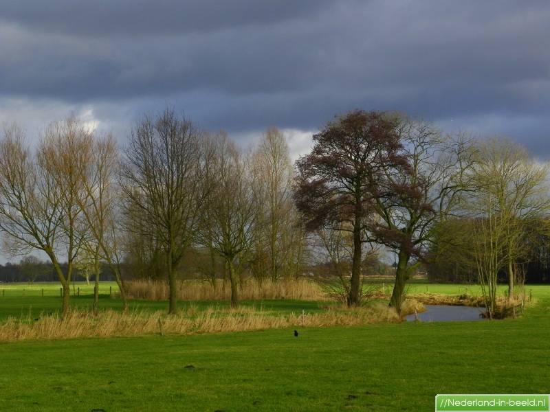Luchtfoto's Westerhoven / foto's Westerhoven | Nederland-in-beeld.nl