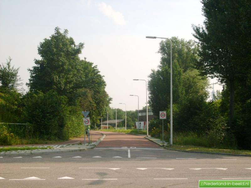 Luchtfoto's Rhoon / foto's Rhoon | Nederland-in-beeld.nl