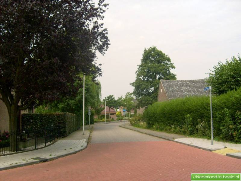 Luchtfoto's Rhoon / foto's Rhoon | Nederland-in-beeld.nl