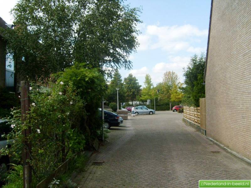 Luchtfoto's Rhoon / foto's Rhoon | Nederland-in-beeld.nl