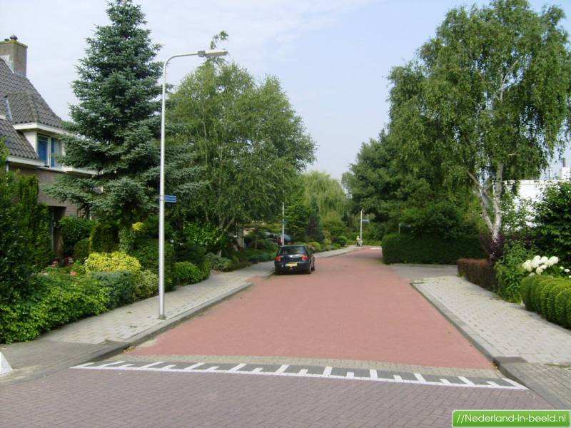 Luchtfoto's Rhoon / foto's Rhoon | Nederland-in-beeld.nl