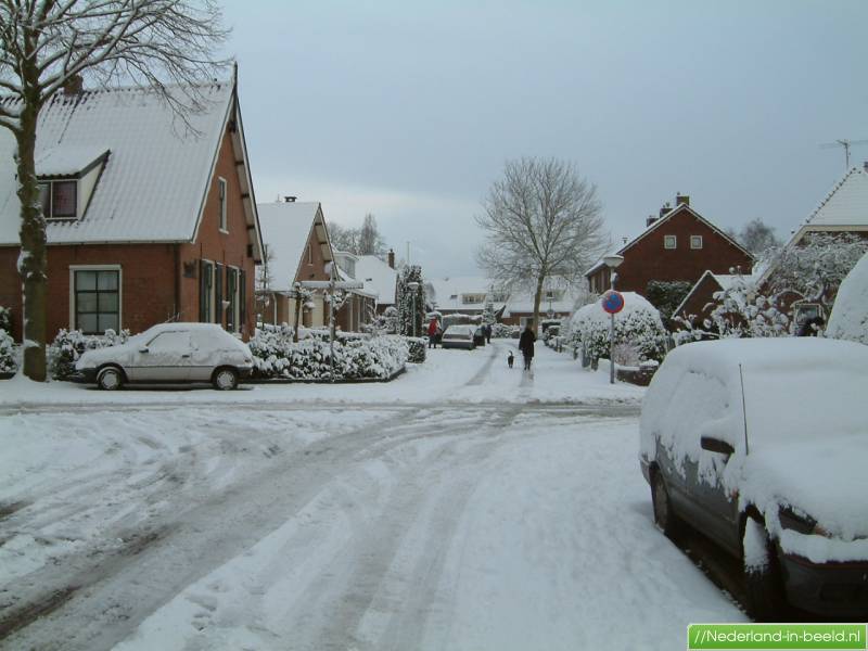 Luchtfoto's huizen / foto's huizen | Nederland-in-beeld.nl