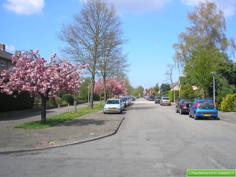Luchtfoto's Huizen / foto's Huizen | Nederland-in-beeld.nl