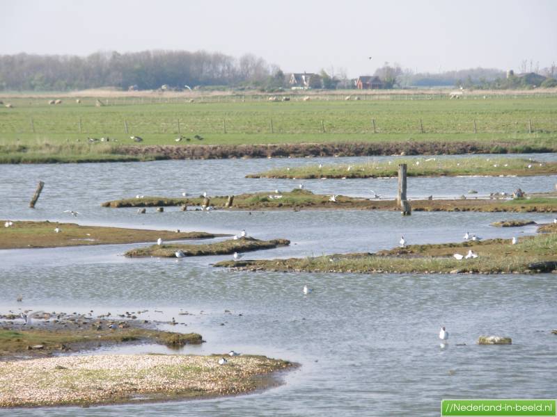 Oudeschild > Doolhof luchtfoto's / foto's | Nederland-in-beeld.nl