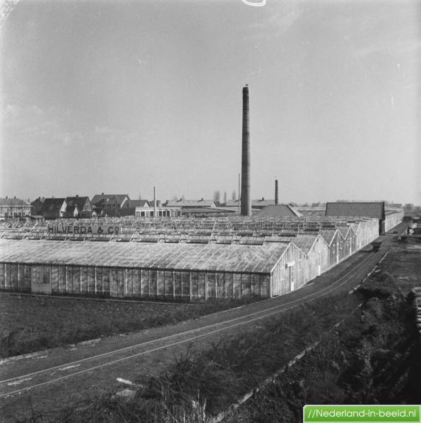 Rijsenhout > Loefzijde luchtfoto's / foto's | Nederland-in-beeld.nl