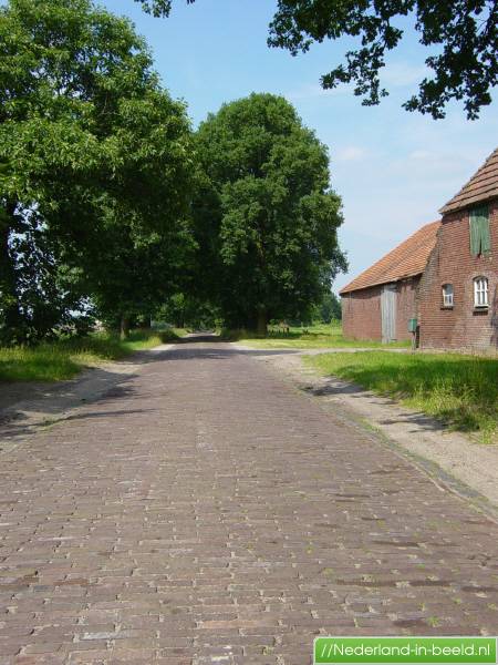 Luchtfoto's Moergestel / foto's Moergestel | Nederland-in-beeld.nl