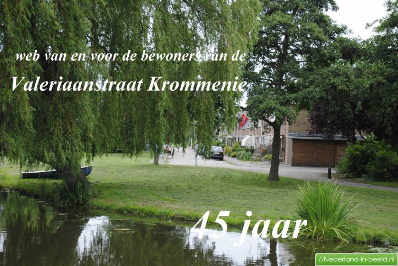 Luchtfoto's Krommenie / foto's Krommenie | Nederland-in-beeld.nl